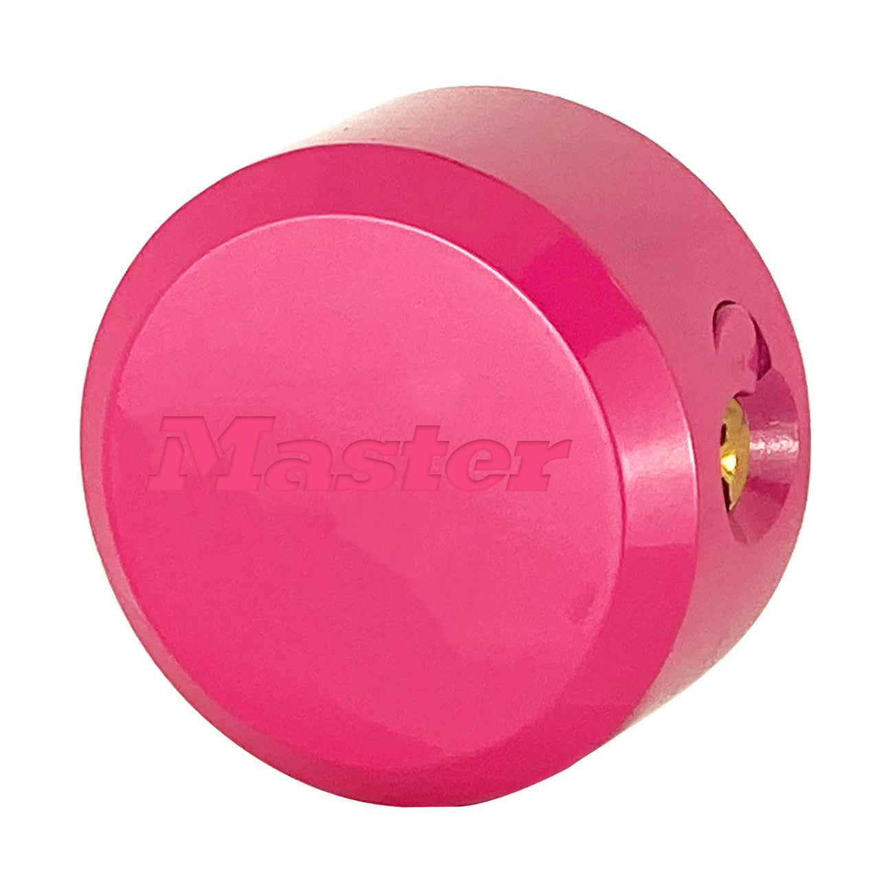 Model No. 6271 ProSeries® Reinforced Zinc Die-Cast Hidden Shackle ...